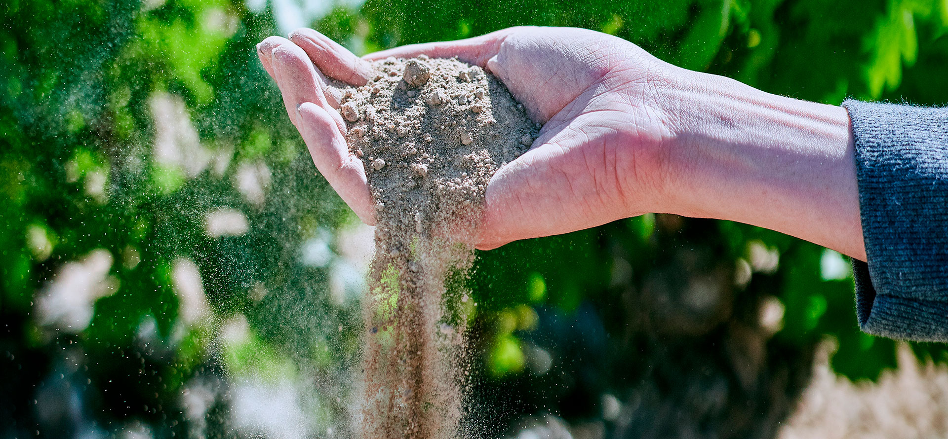 News about wines and Bodegas Fariña winery | bodegasfarina.com